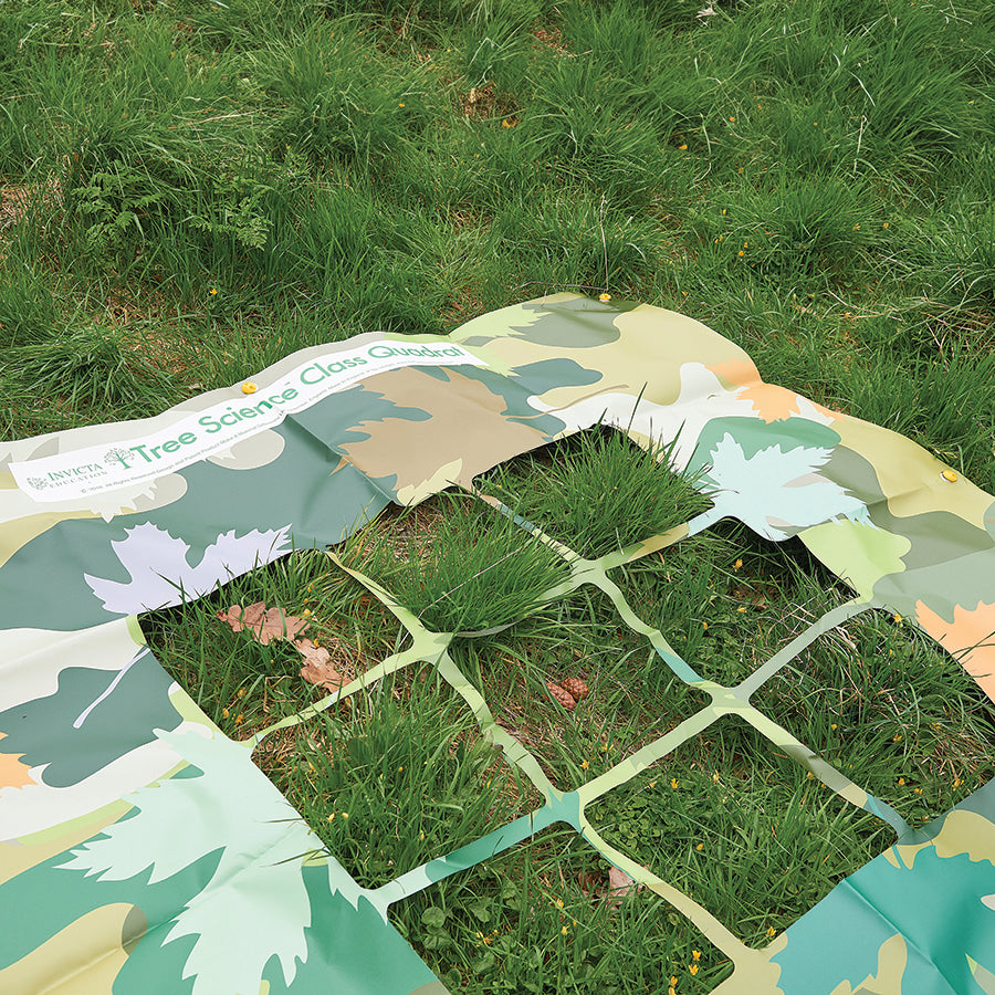 Tree Science™ Class Quadrat™ – Invicta Education