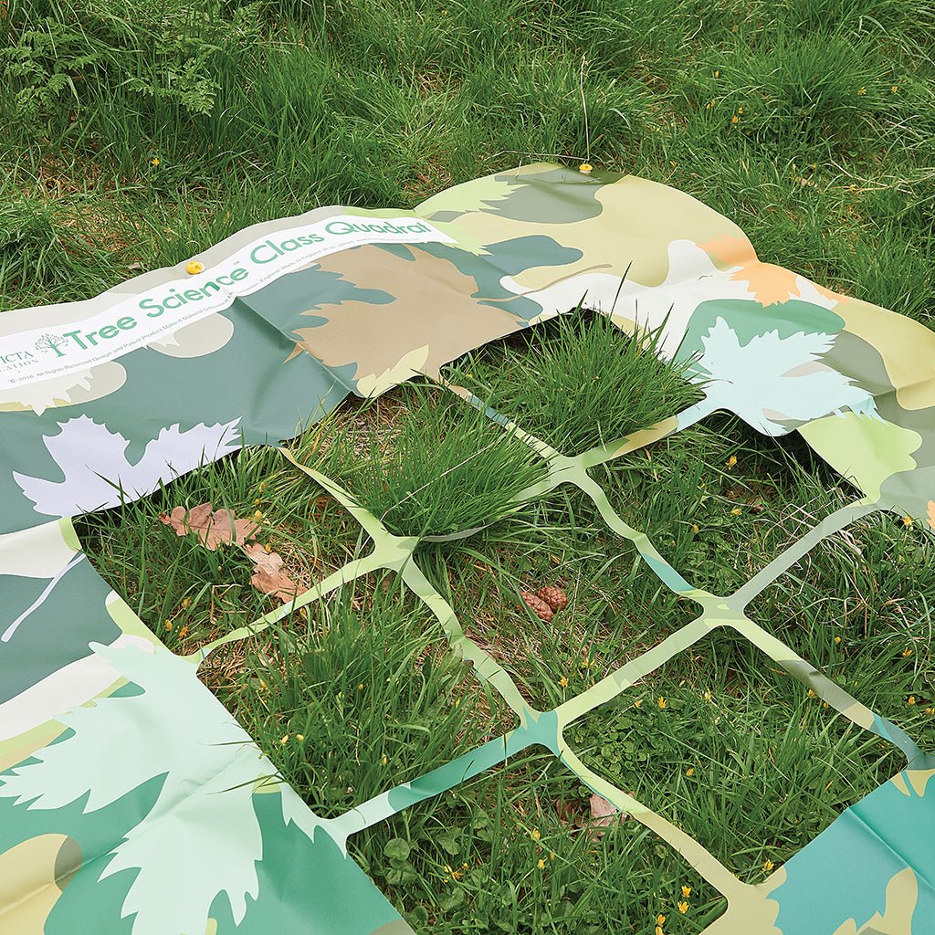 Tree Science™ Kit – Invicta Education